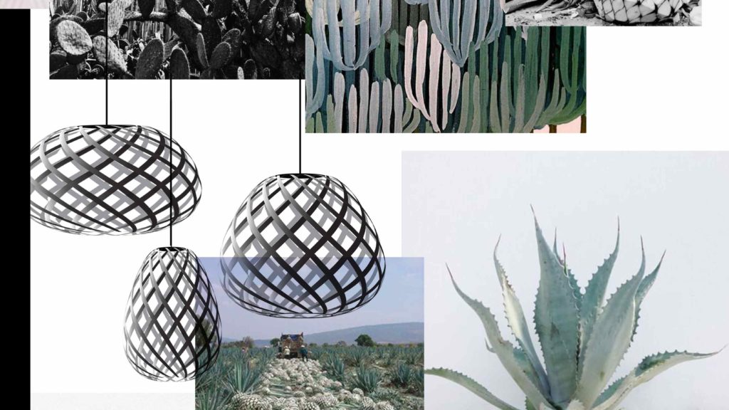 inspiration | agave lighting collection - L'Aviva Home