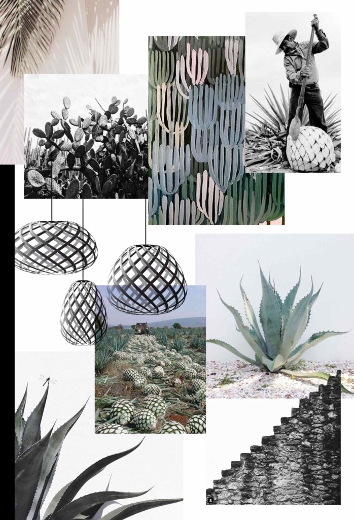 inspiration | agave lighting collection - l'aviva